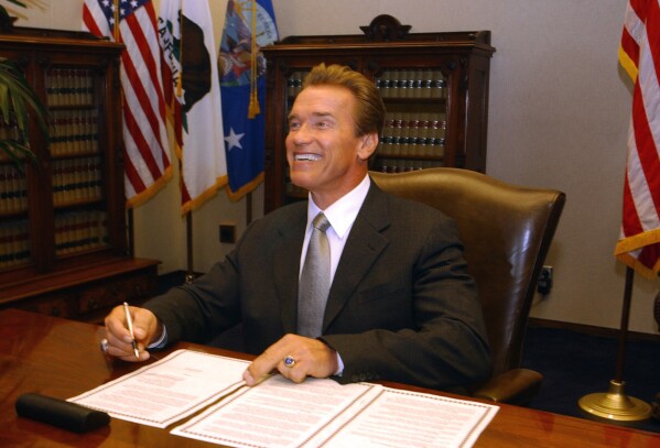 Today In History November 17 Arnold Schwarzenegger Becomes Governor
